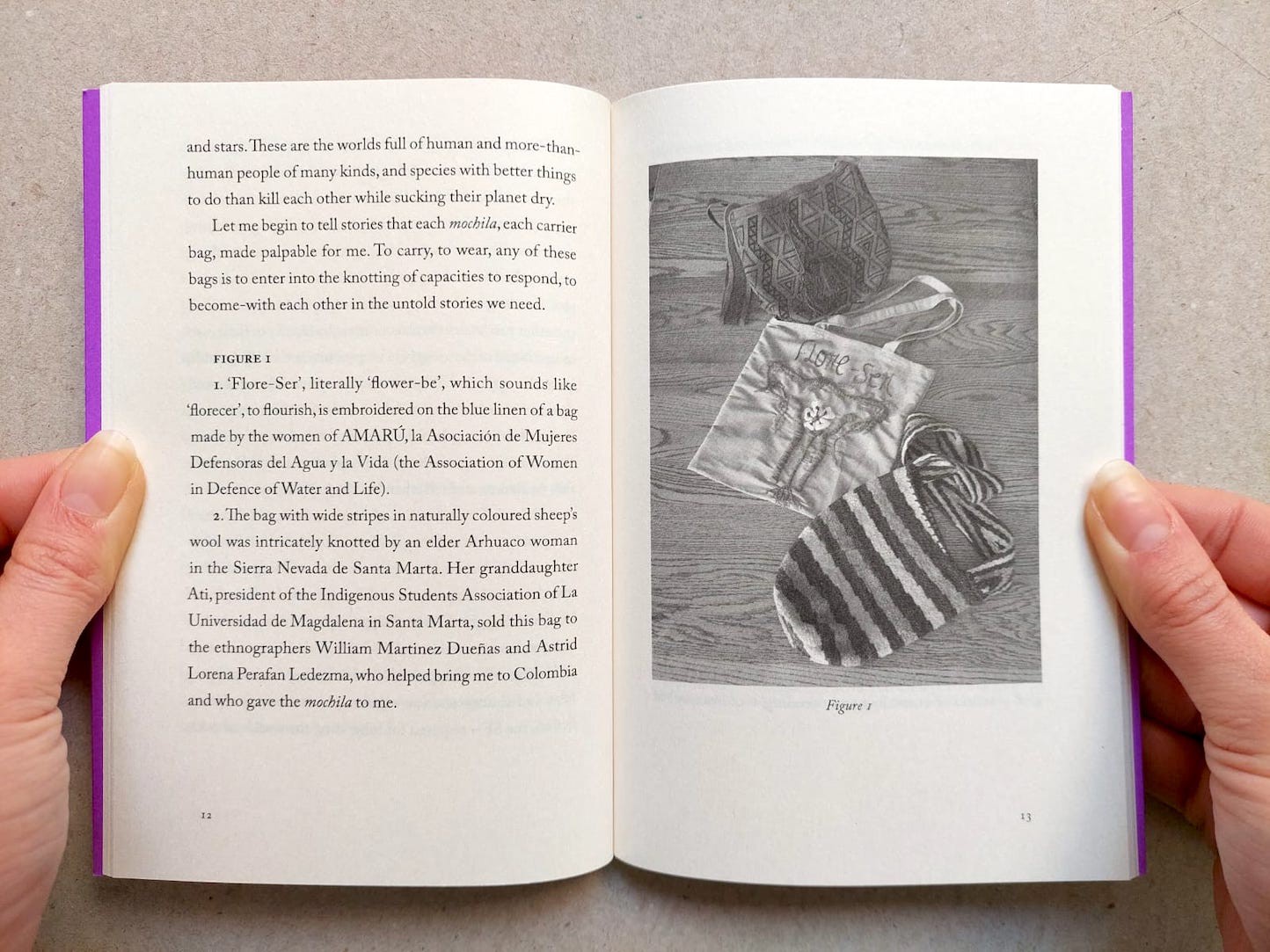 the carrier bag theory of fiction