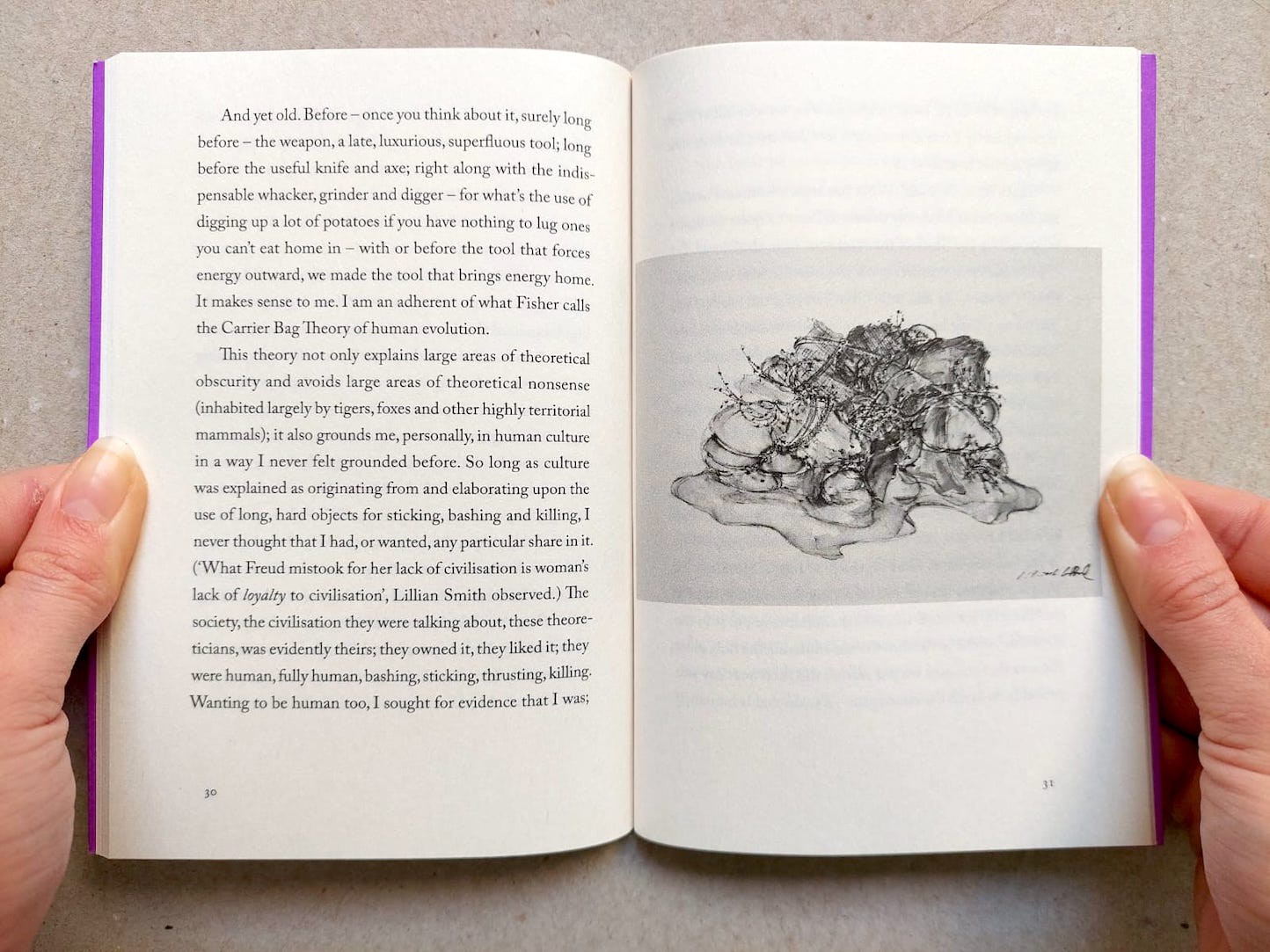 the carrier bag theory of fiction