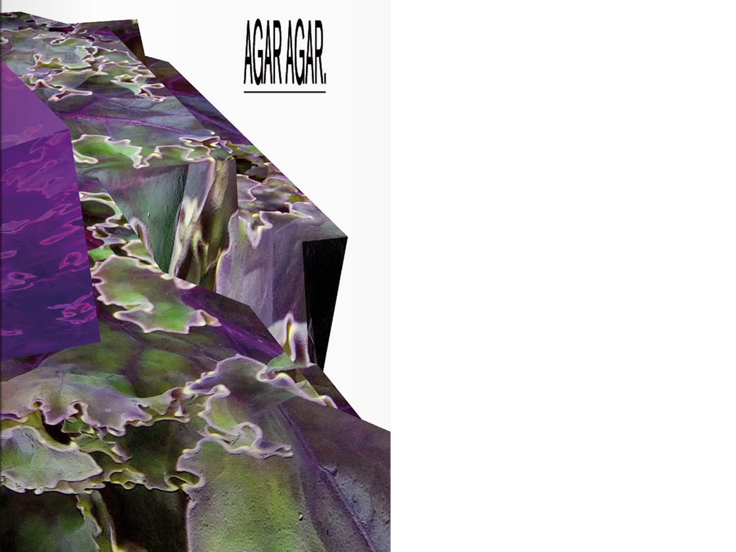 Agar Agar. The jelli Magazine - Lucie Schroeder - Studio Lisa Baumgarten