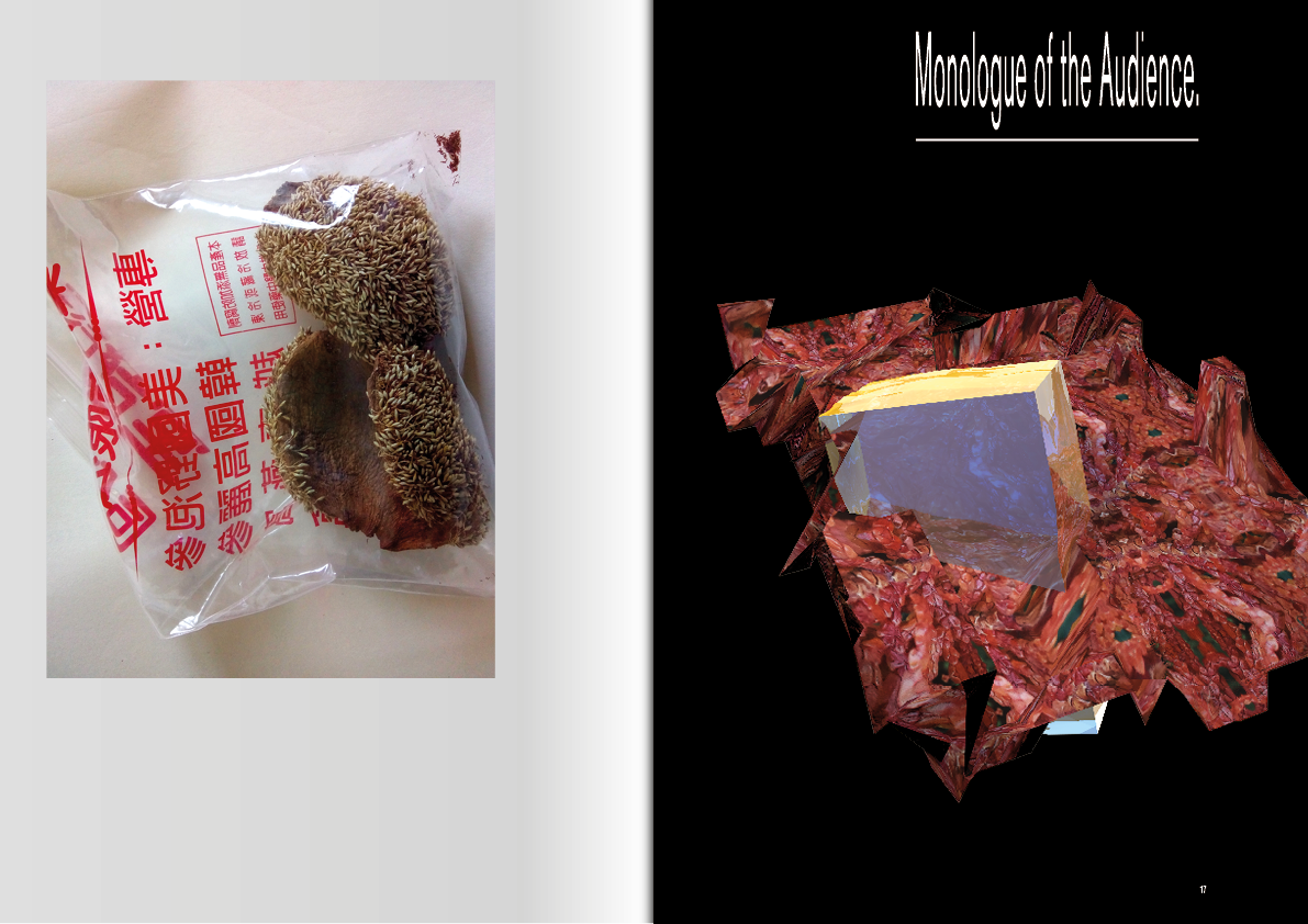 Agar Agar. The jelli Magazine - Lucie Schroeder - Studio Lisa Baumgarten