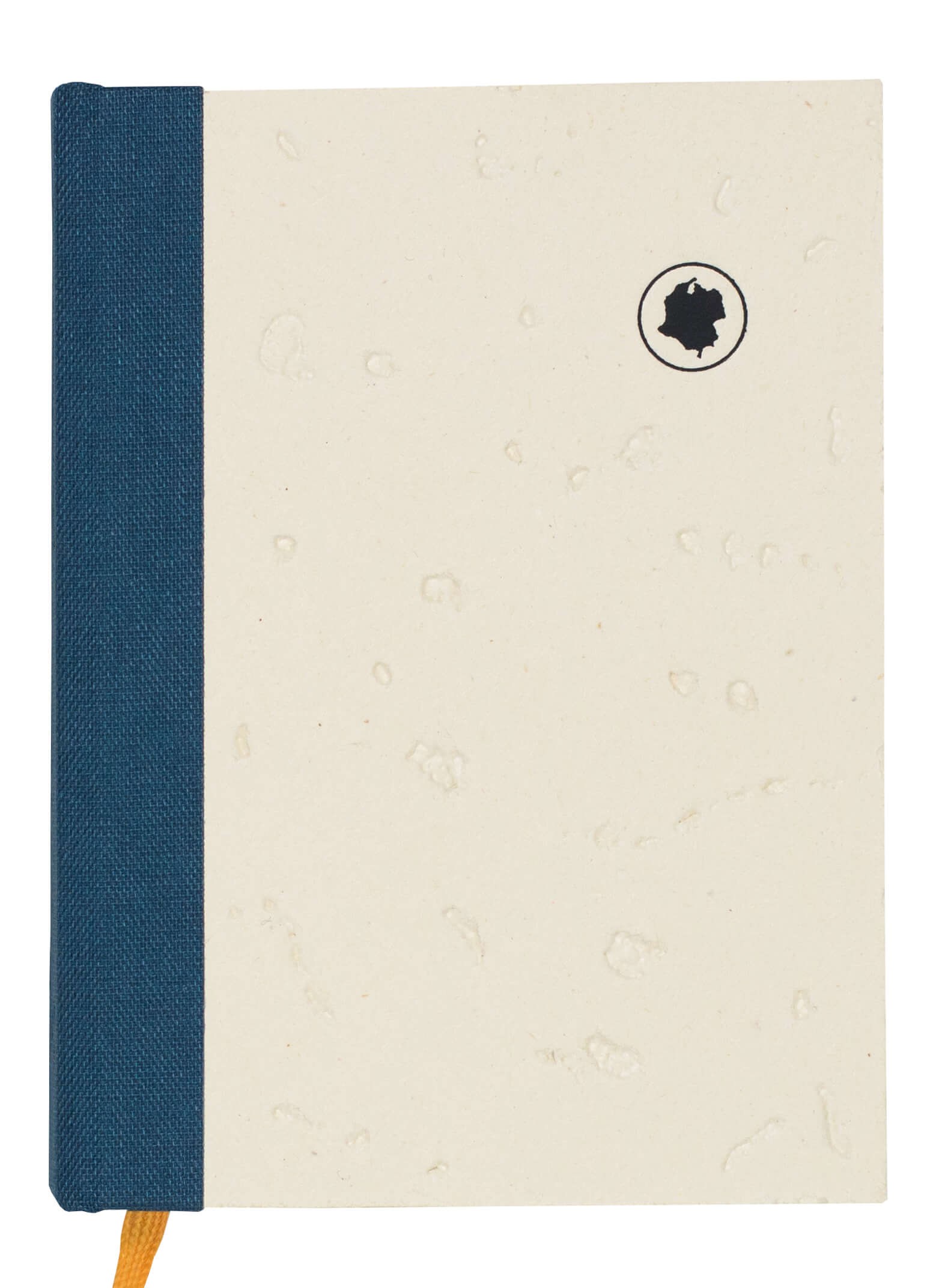 Disculpe, Jan Lotter Benavides, Bom Dia Books