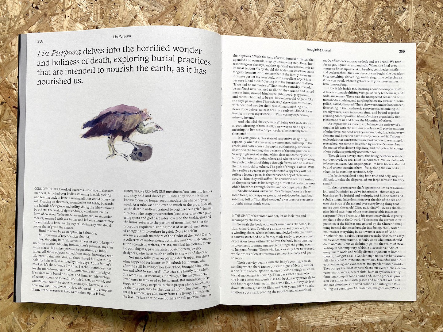 Emergence Magazine Volume I - Emmanuel Vaughan-Lee, Seanna Quinn ...