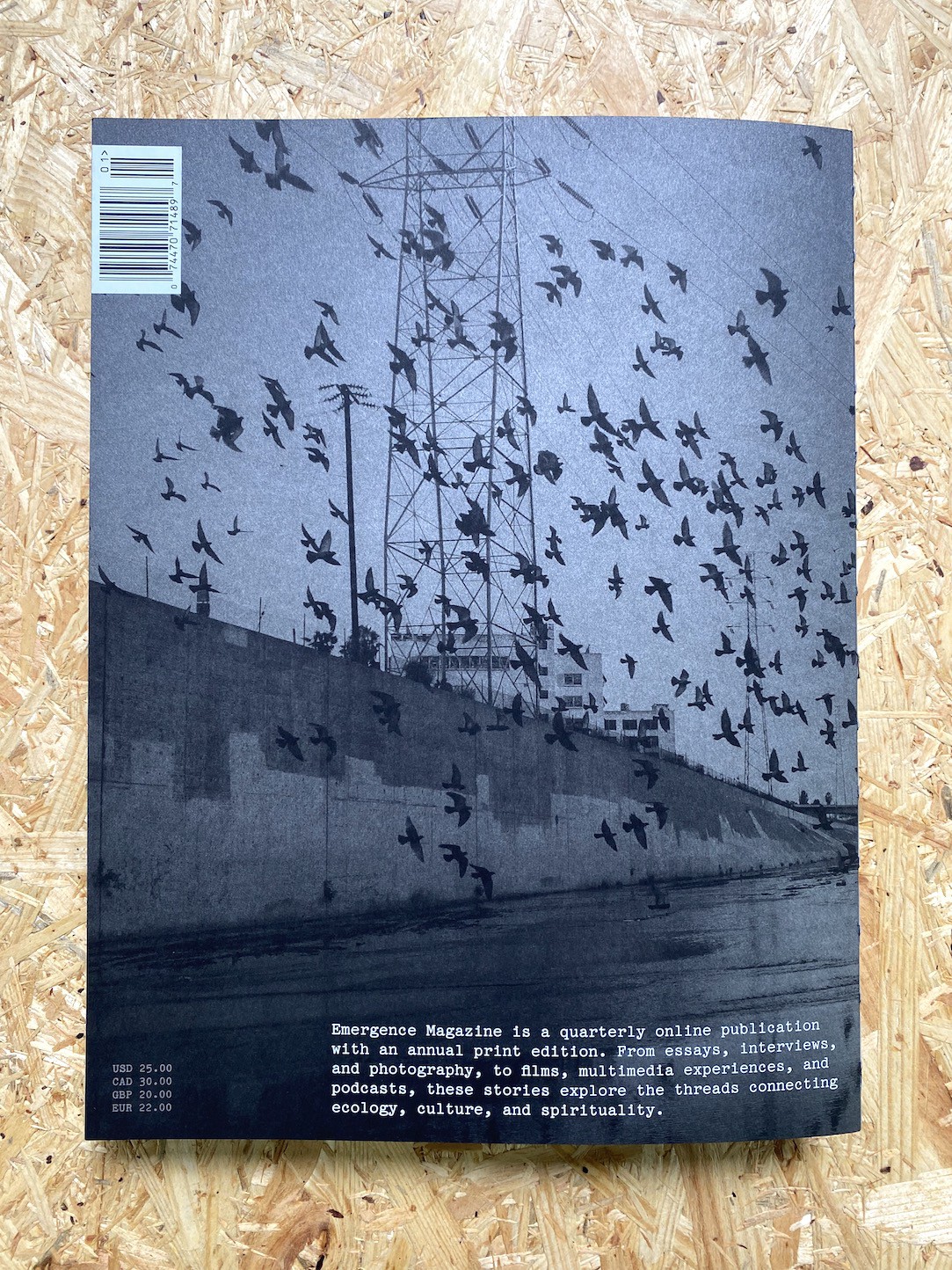 Emergence Magazine Volume I - Emmanuel Vaughan-Lee, Seanna Quinn ...