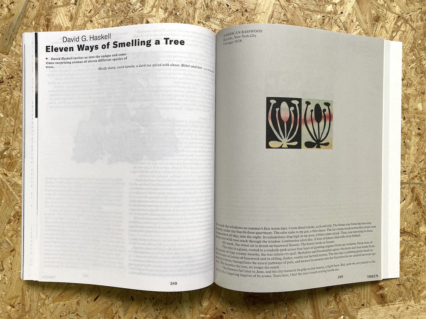 Emergence Magazine Volume II - Emmanuel Vaughan-Lee, Seanna Quinn ...