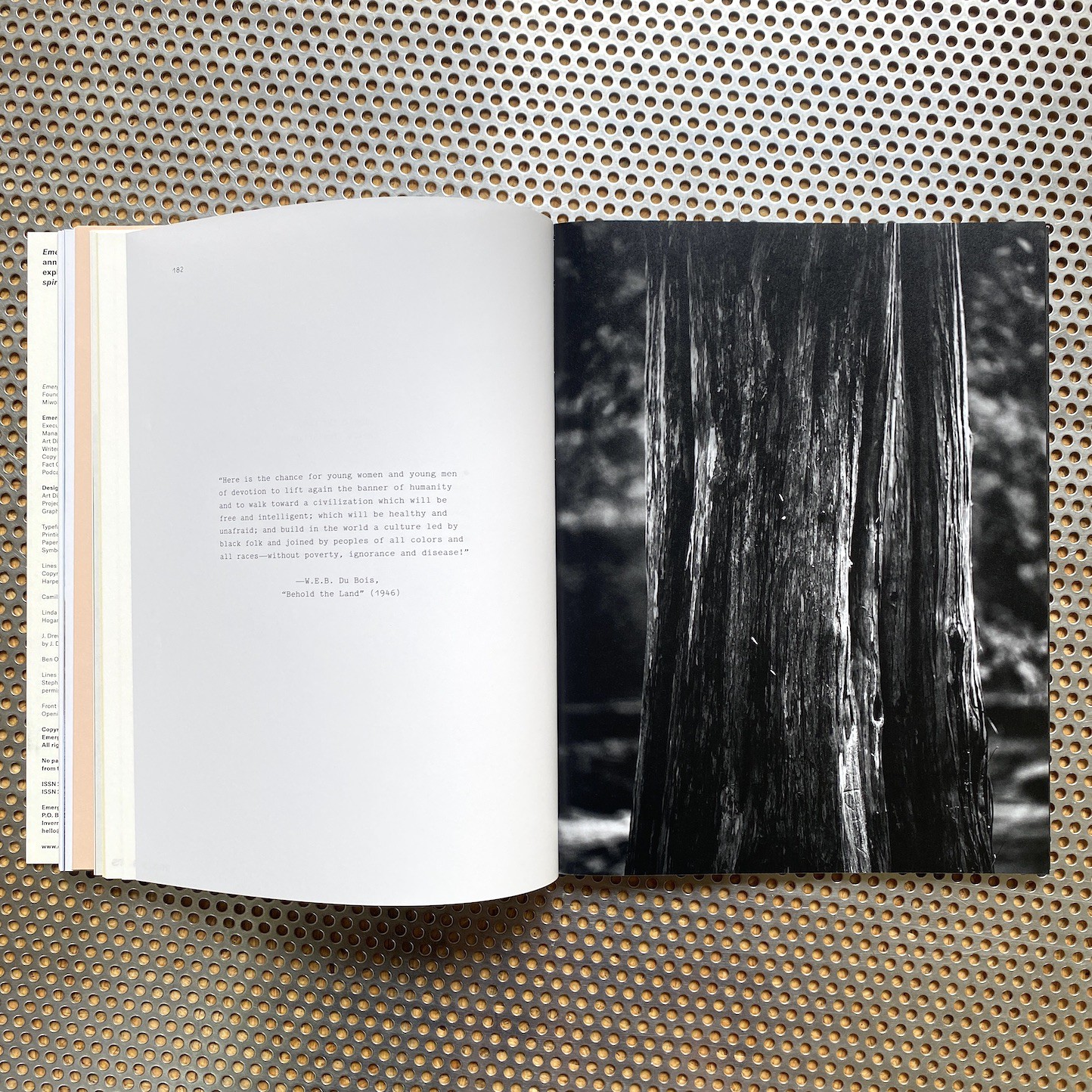 Emergence Magazine Volume III - Emmanuel Vaughan-Lee, Seanna Quinn ...