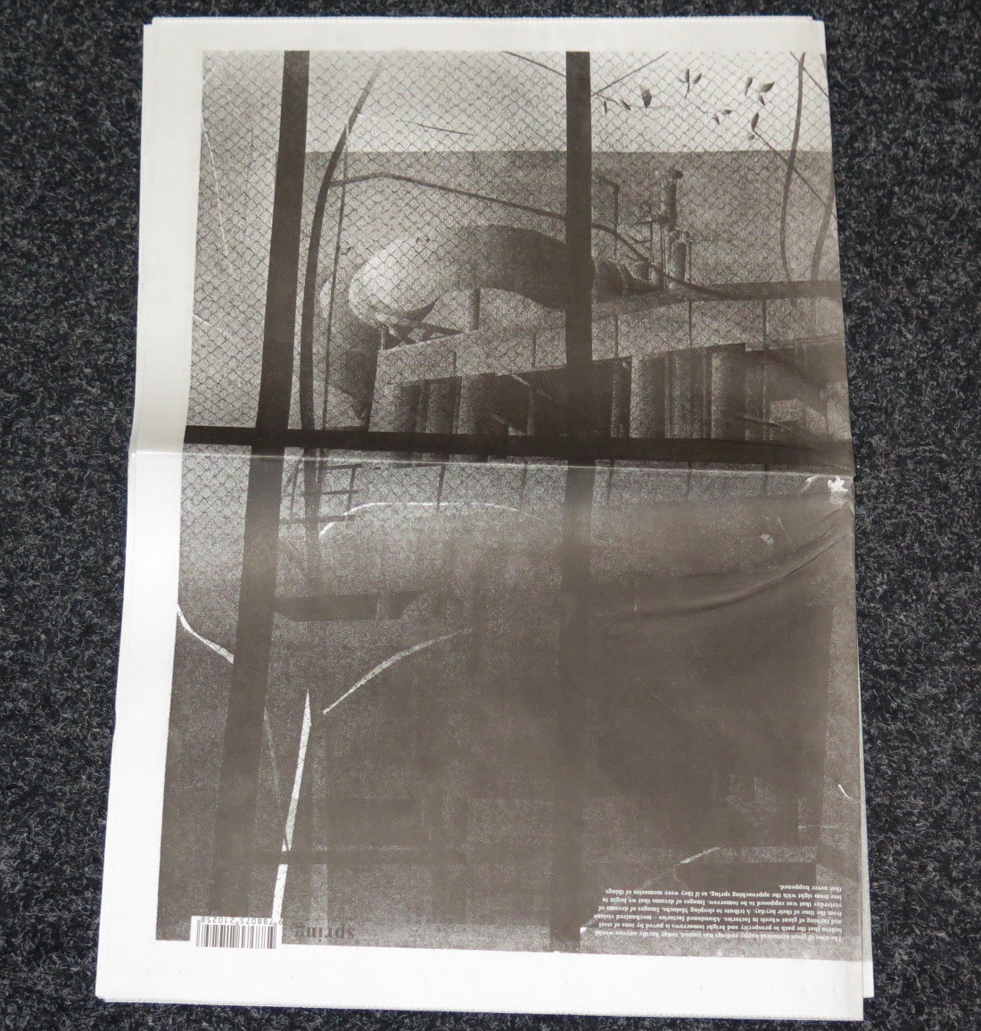 Newsprint, Spring, Jaro/Spring, 9788075210258, Klara Zahradkova