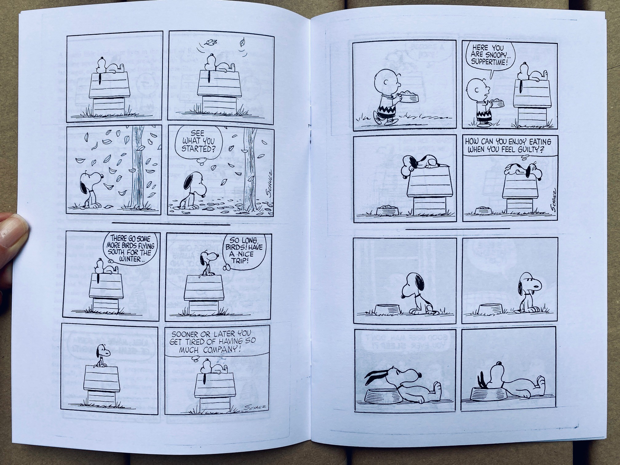 Snoopy, STAY HOME - Ranko Vukčević - Self-Published