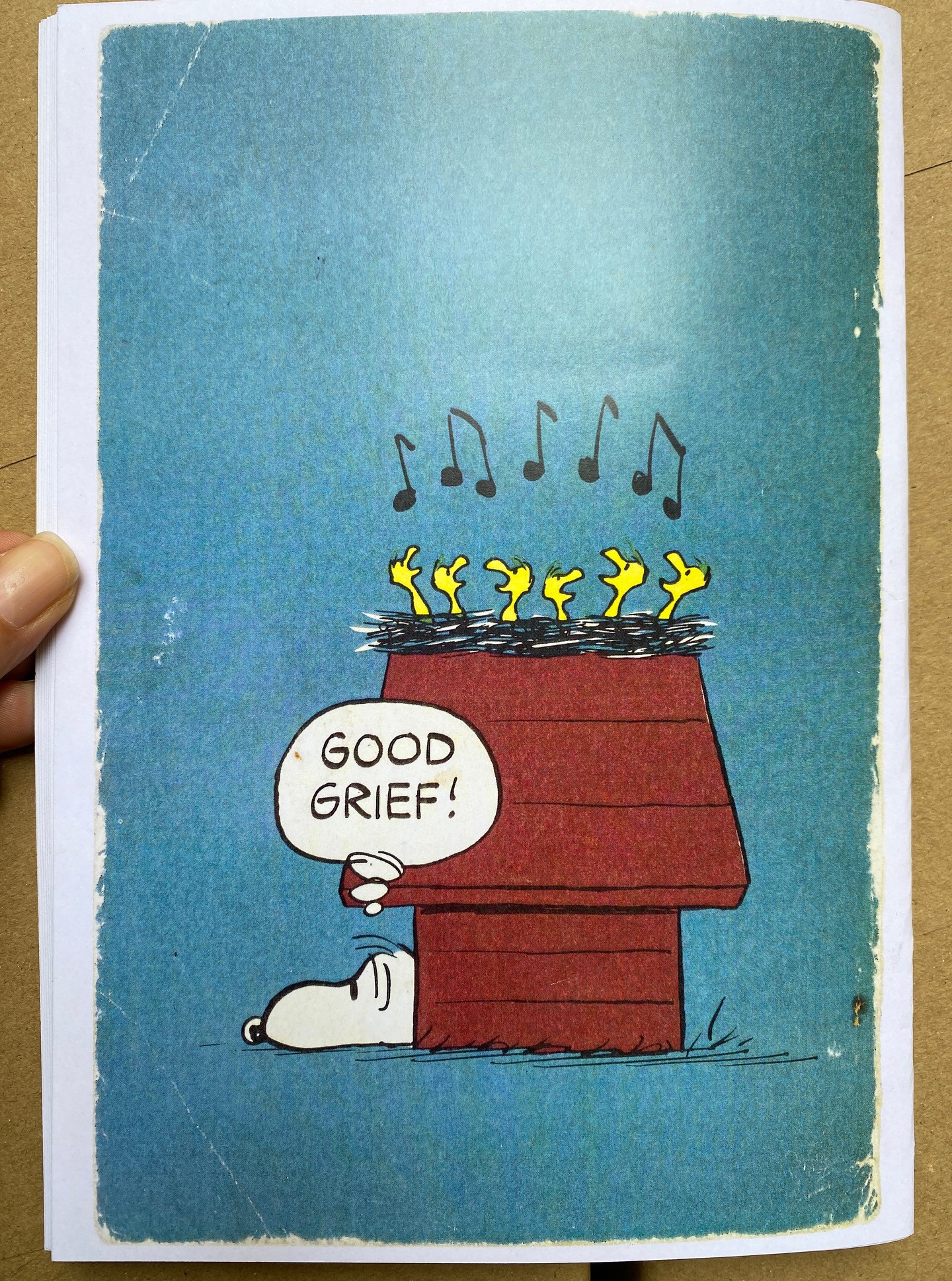 Snoopy, STAY HOME - Ranko Vukčević - Self-Published
