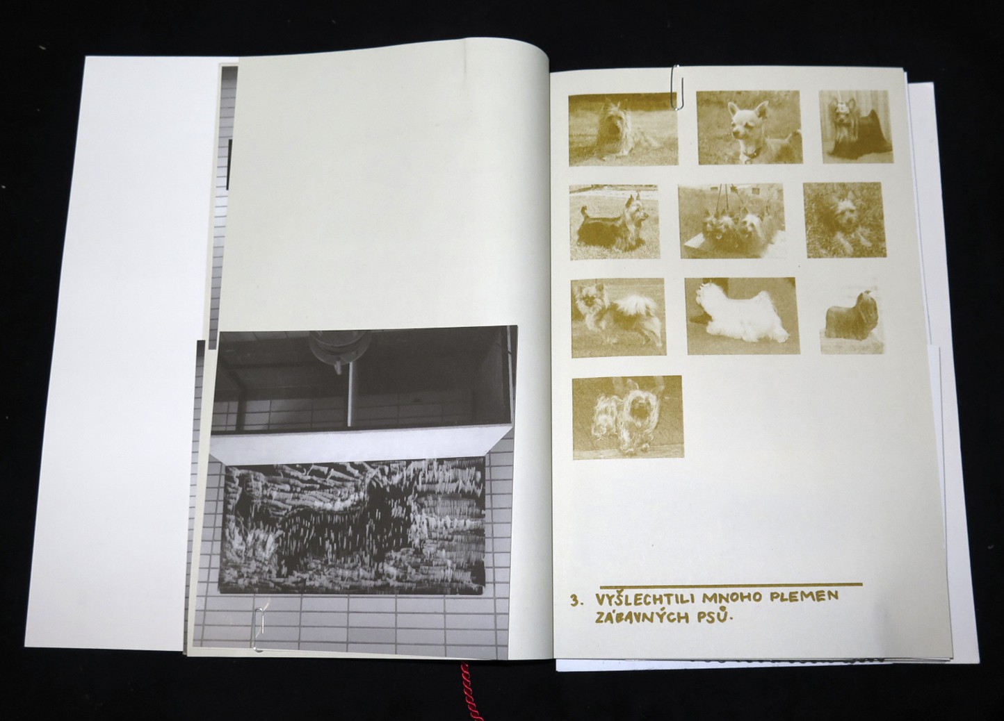 KLYZMA / Úvod k pozemským metódam, Palo Čejka, Jan Čumlivski & Tomáš ...