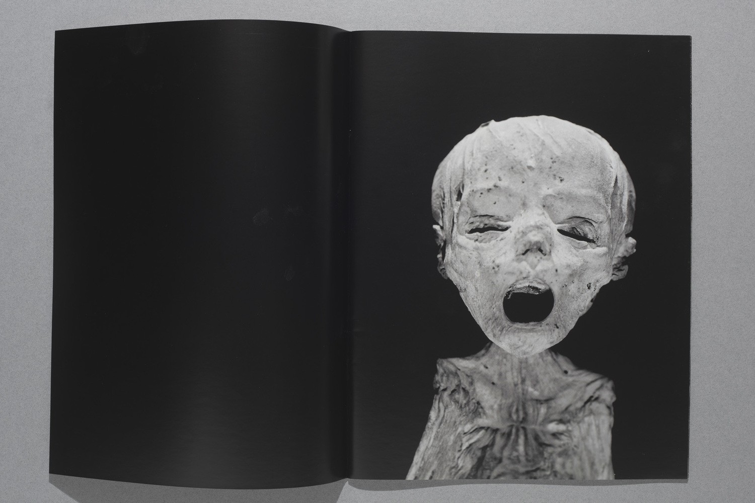 Matte - Steve Pyke - Matthew Leifheit