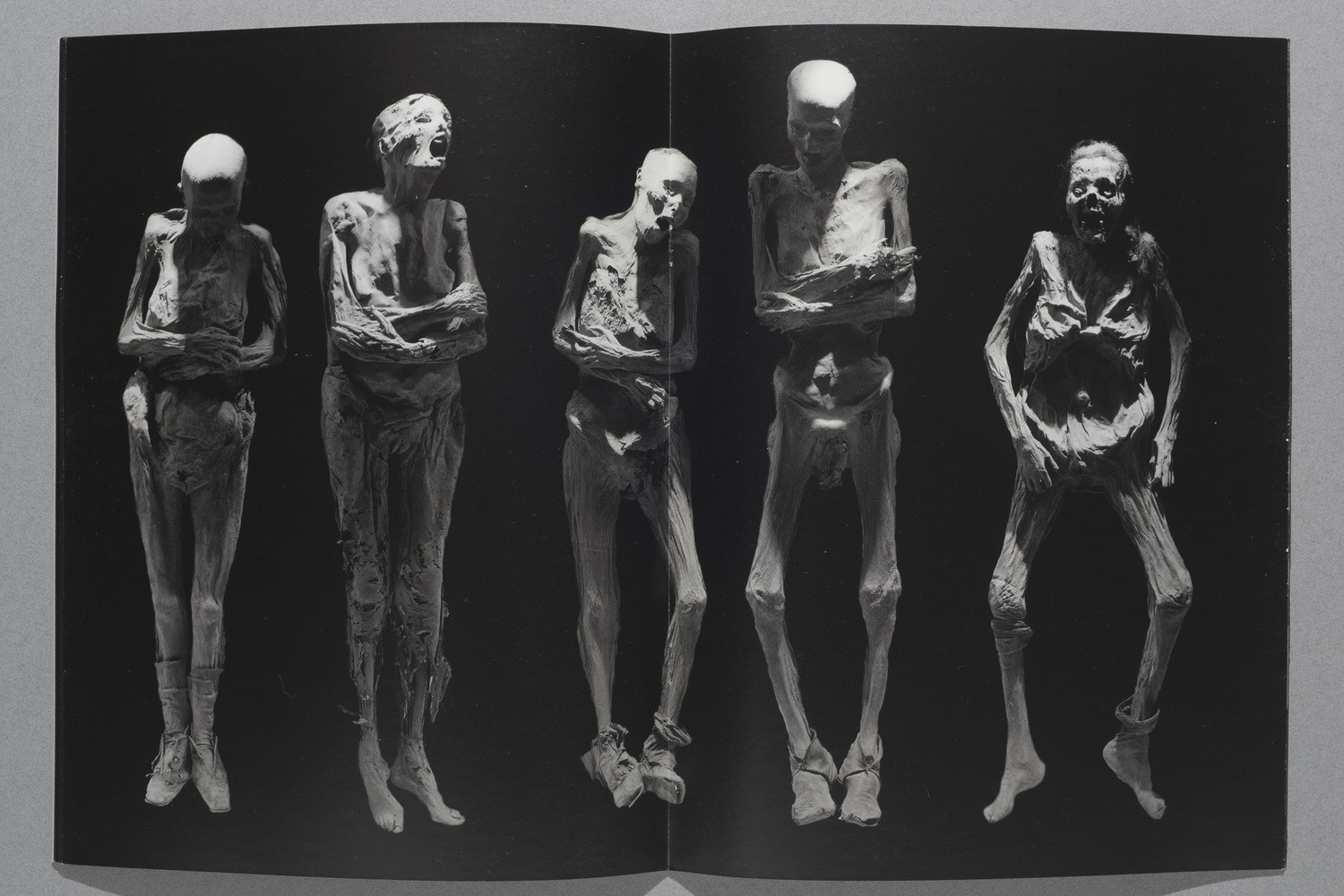 Matte - Steve Pyke - Matthew Leifheit