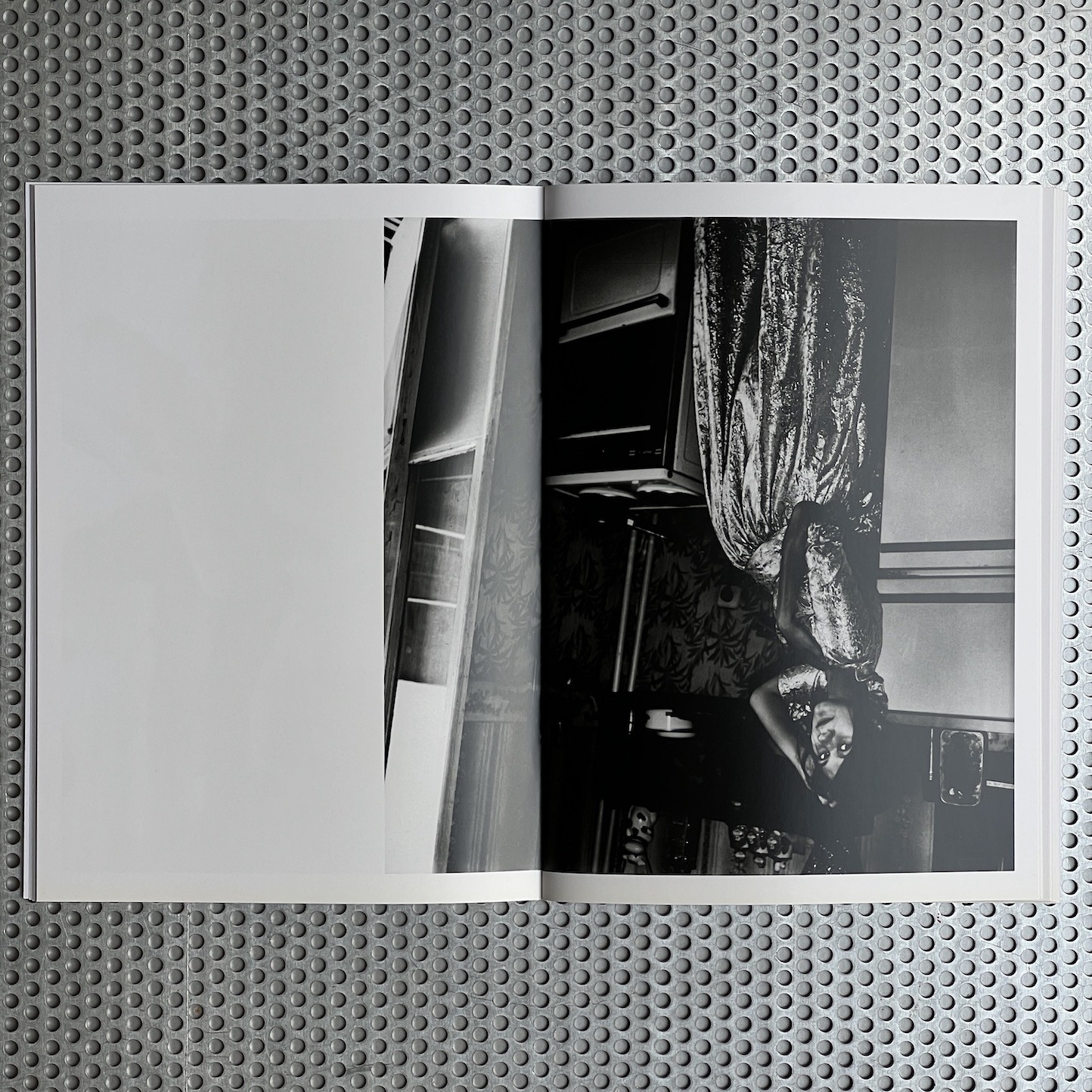 nikolay-bakharev-amateurs-and-lovers-dashwood-books