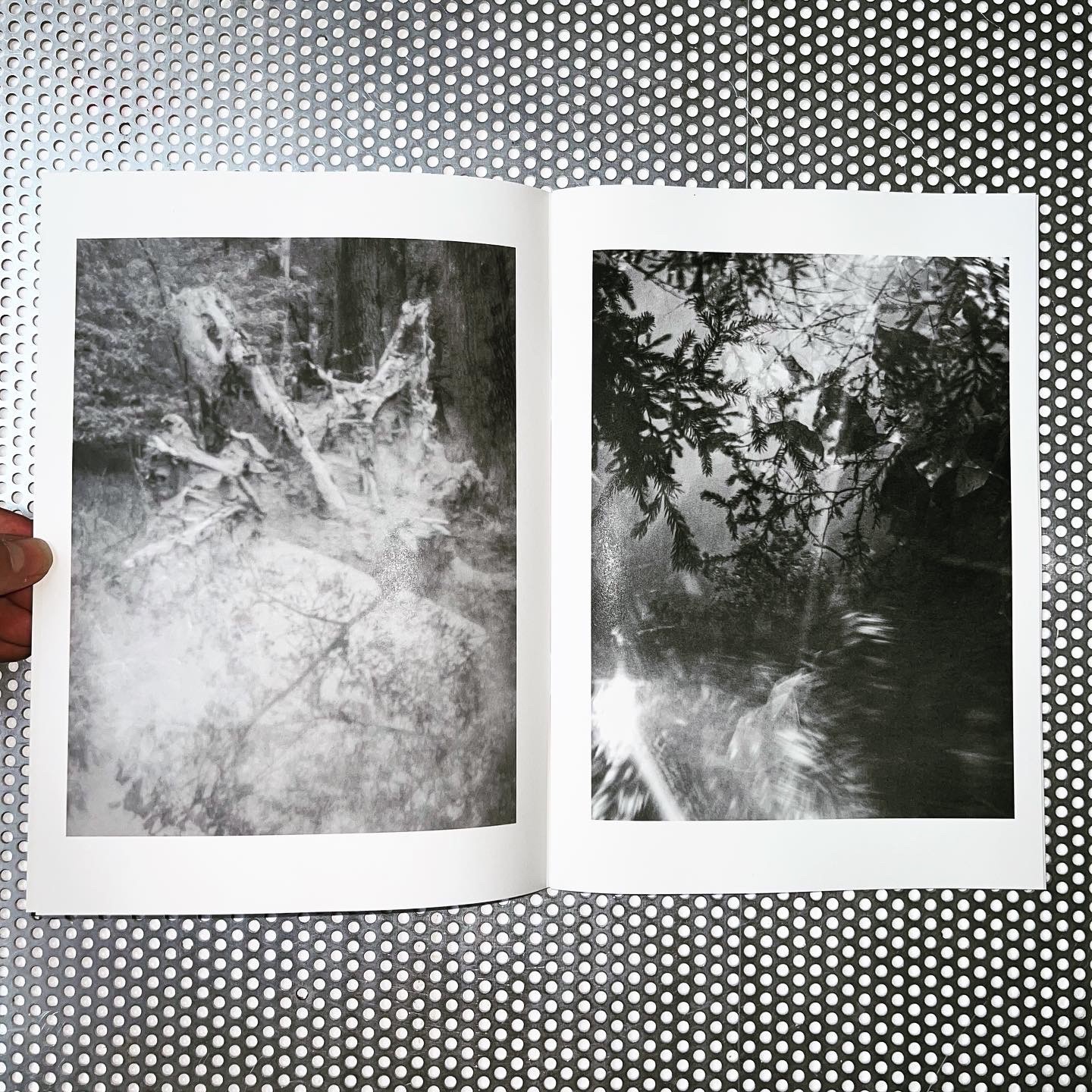 Platine - Alexander Binder - Motto Books