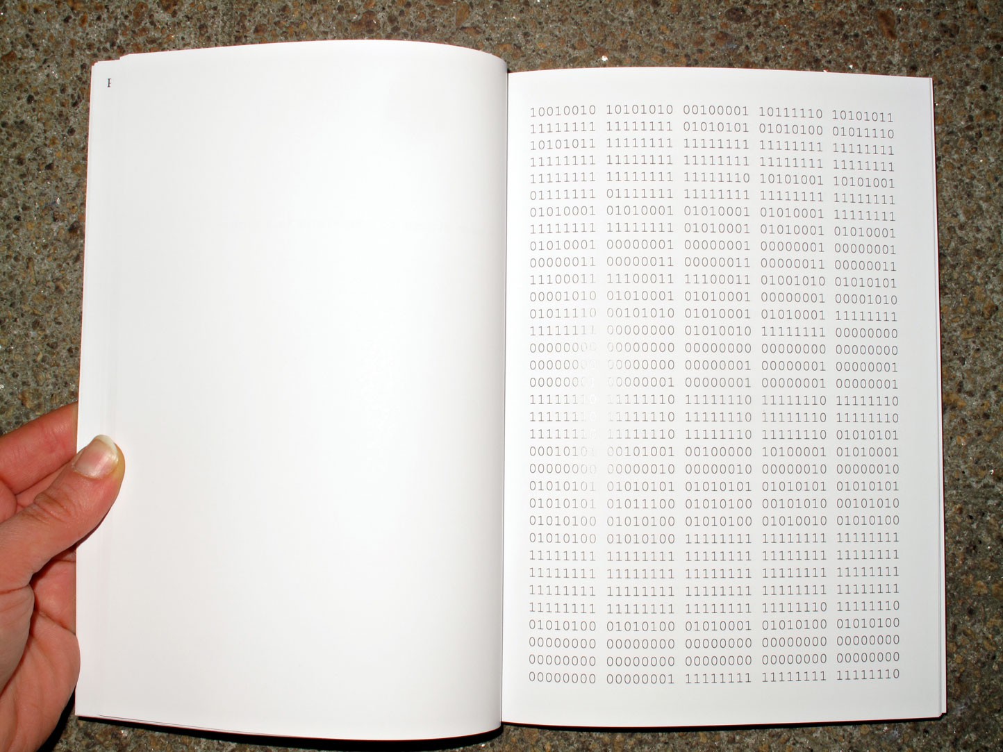 Polysingularity Letters, Dmitry Paranyushkin