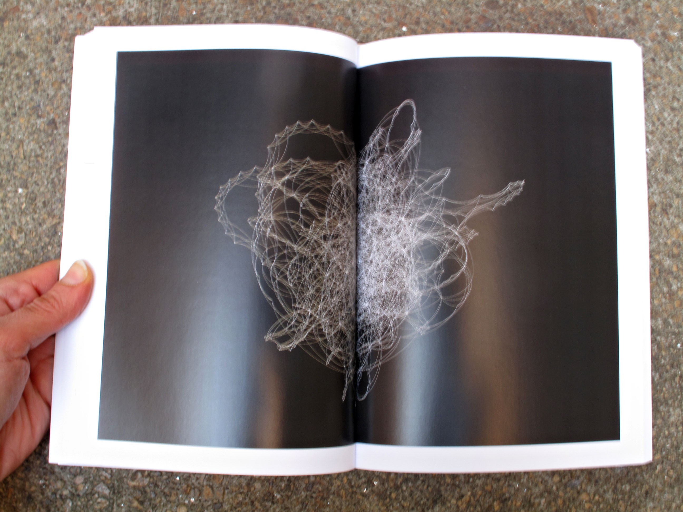 Polysingularity Letters, Dmitry Paranyushkin