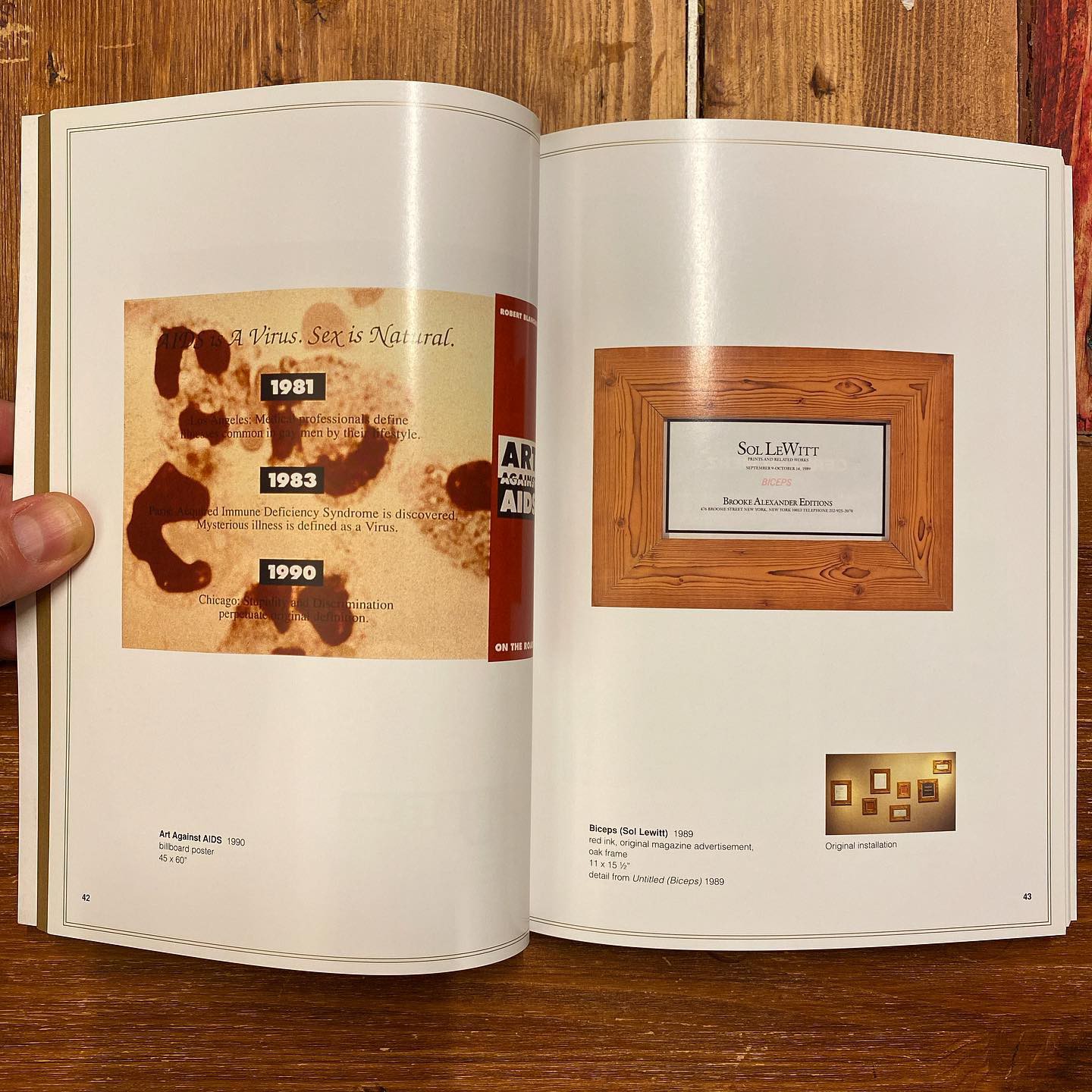 Robert Blanchon: Artist Monograph - Gregg Bordowitz, Sasha Archibald