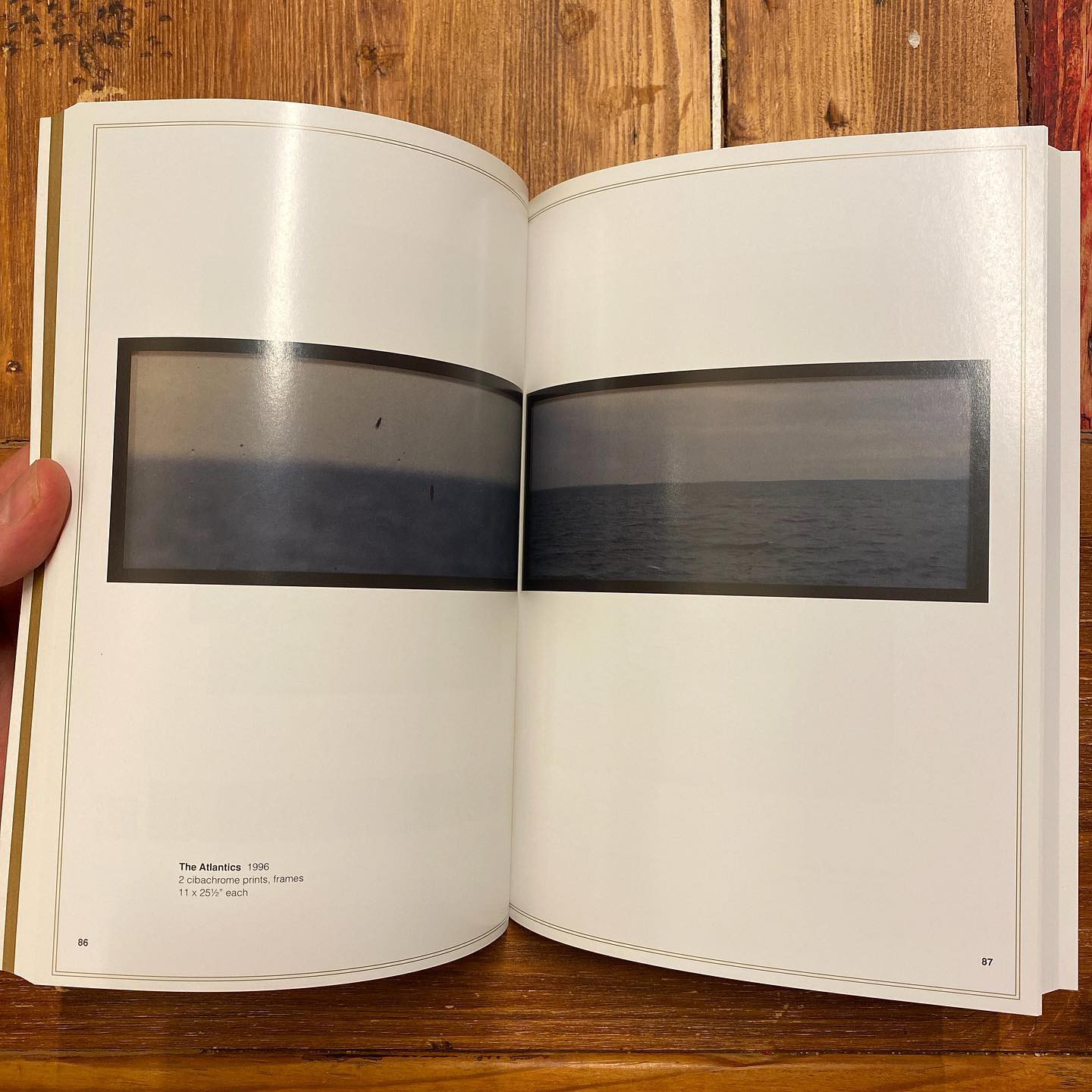 Robert Blanchon: Artist Monograph - Gregg Bordowitz, Sasha Archibald
