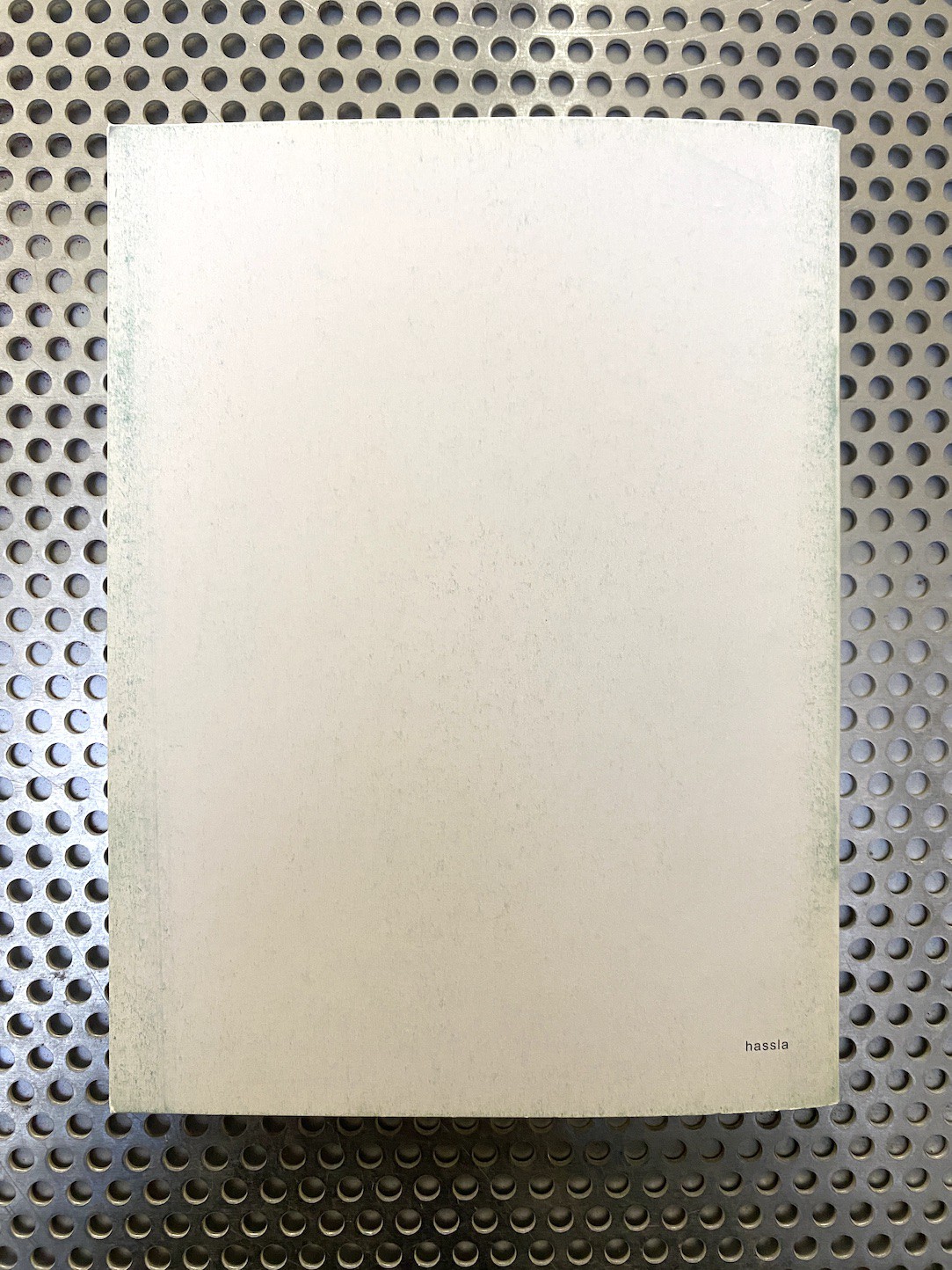 The Beginning - Ola Rindal - Hassla Books