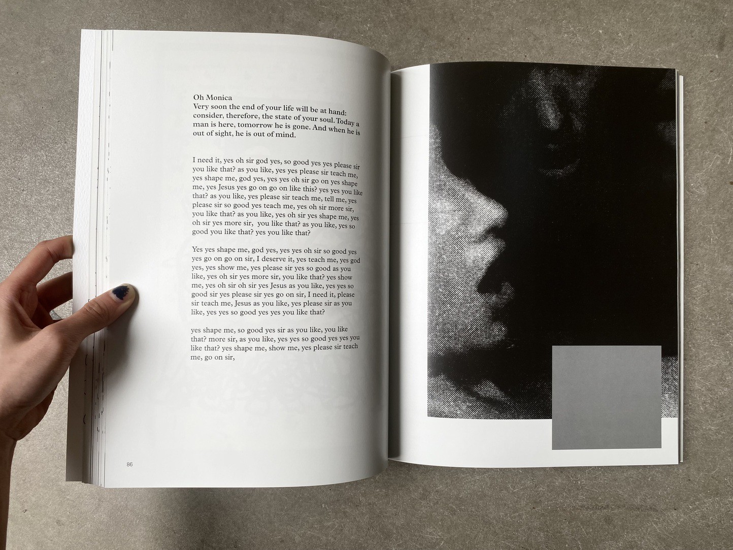 The Essential and Incomplete Sade for Sade's Sake - Paul Chan