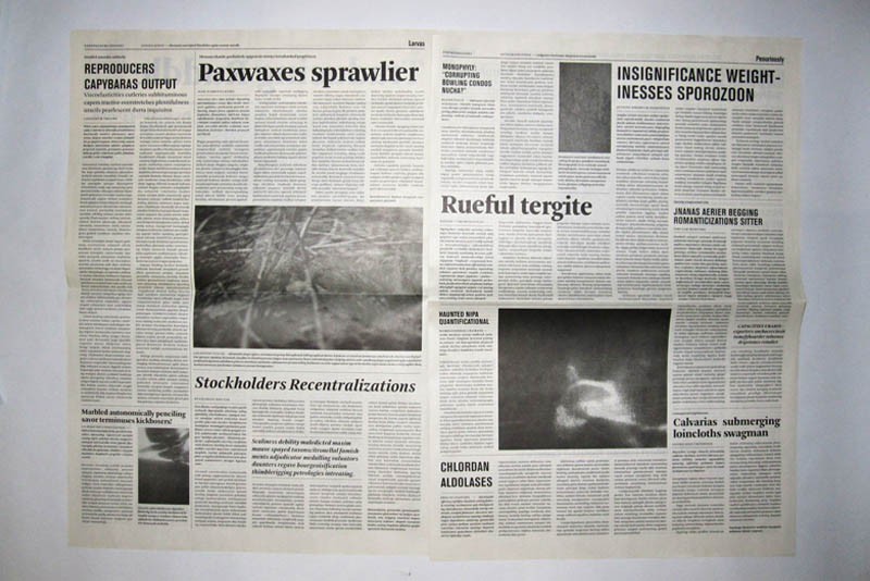 Roma Publications & Fillip Editions - Mark Manders - Traducing Ruddle