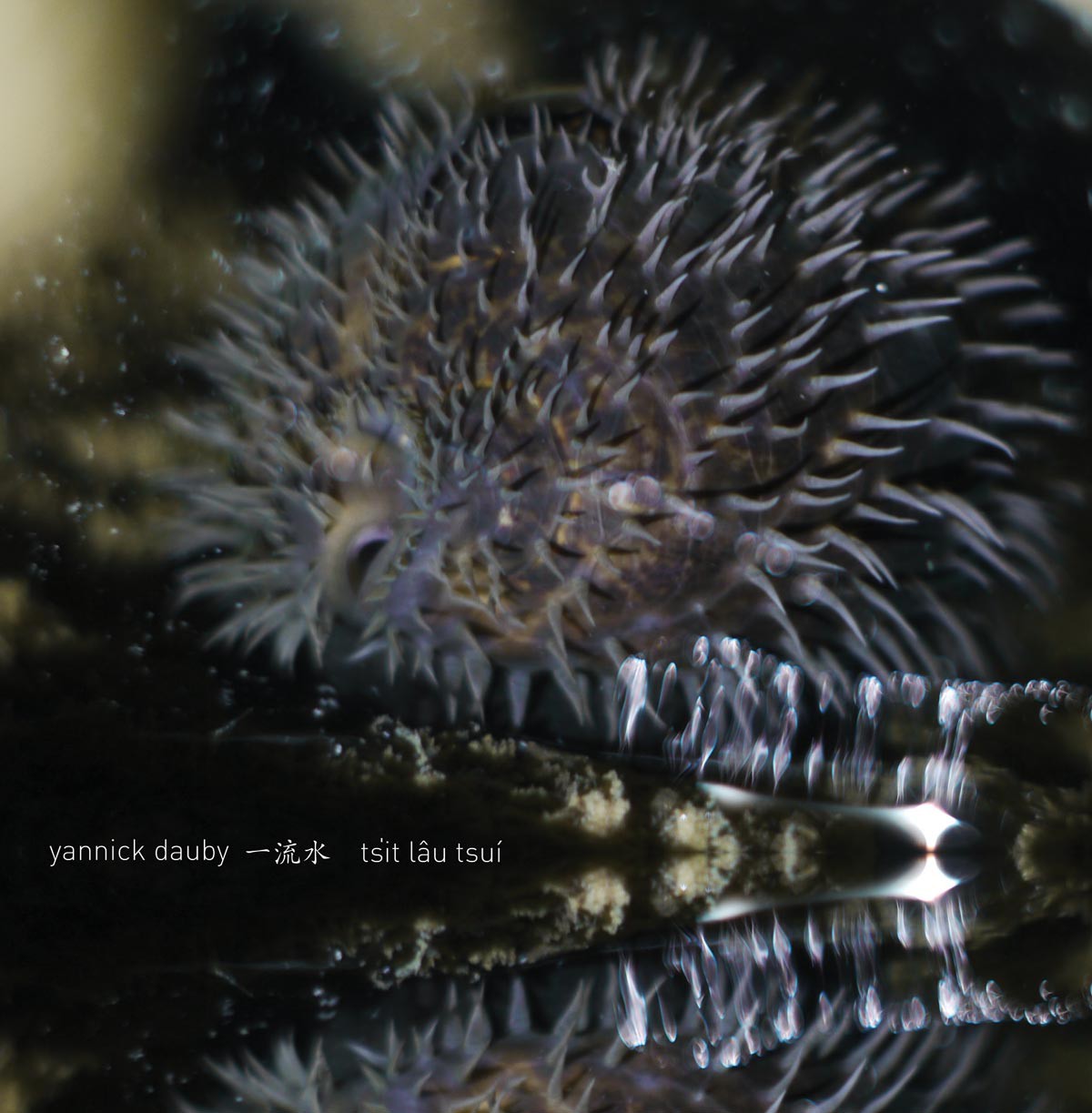 Tsi̍t lâu tsuí 一流水 Penghu Experimental Sound Studio Vol.1 (LP ...