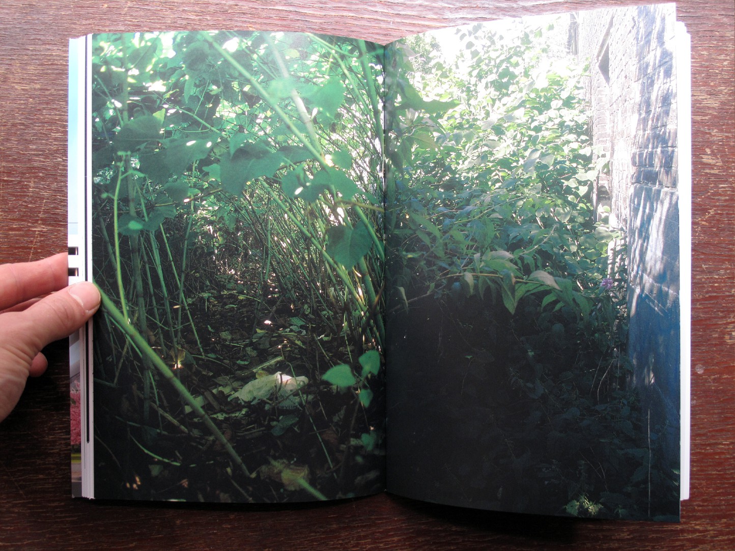 Wiels! - Luk Lambrecht - Merz - Luc Derycke