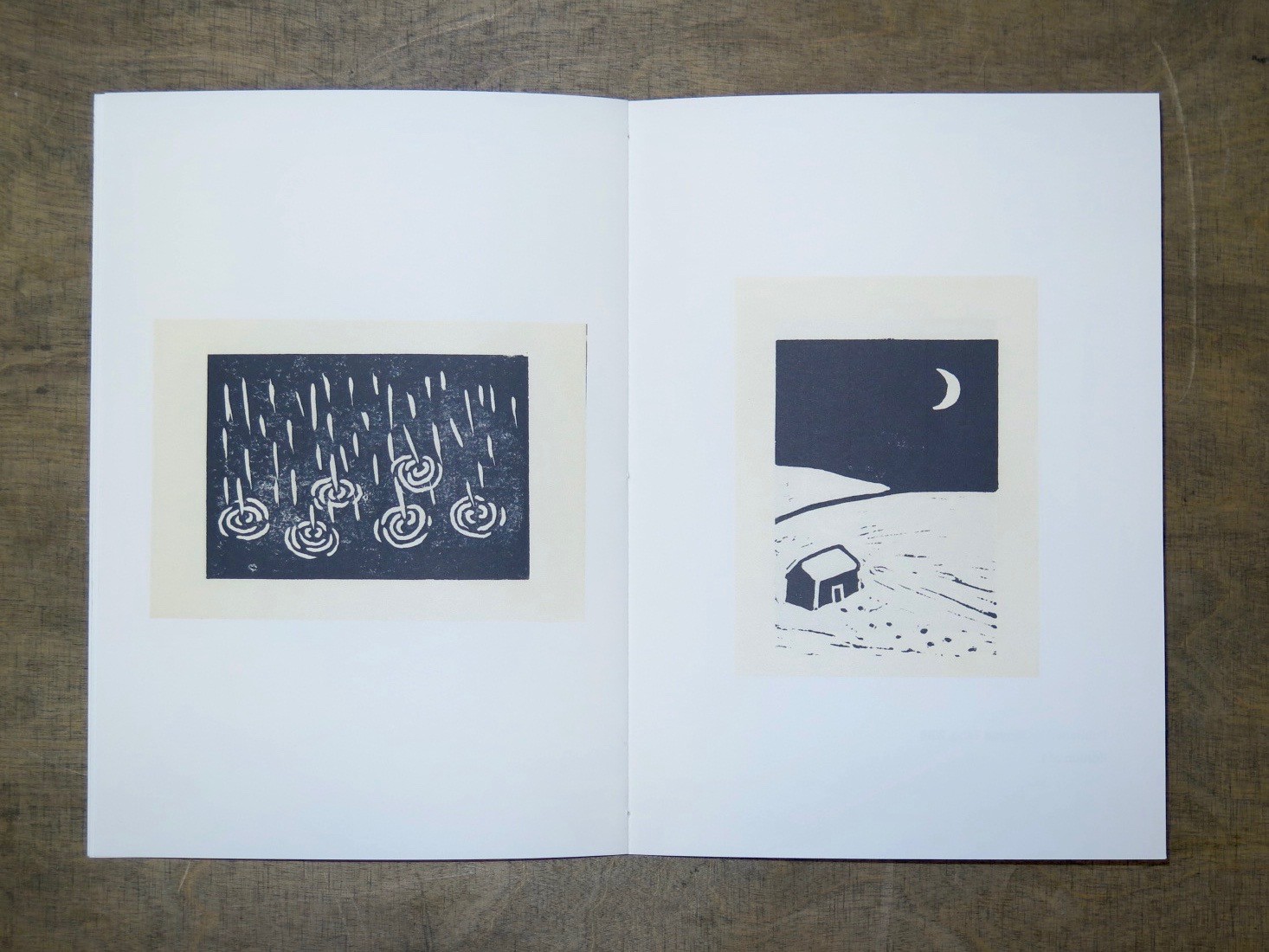 Xinyue Yang: 2016 – 2017