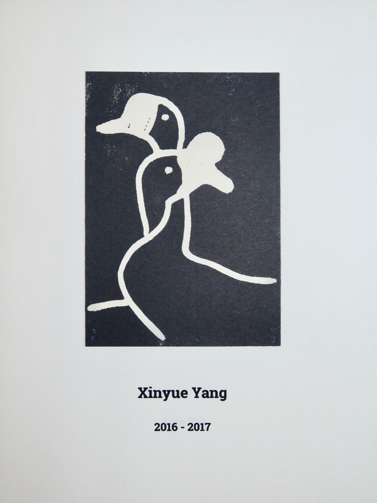 Xinyue Yang: 2016 – 2017