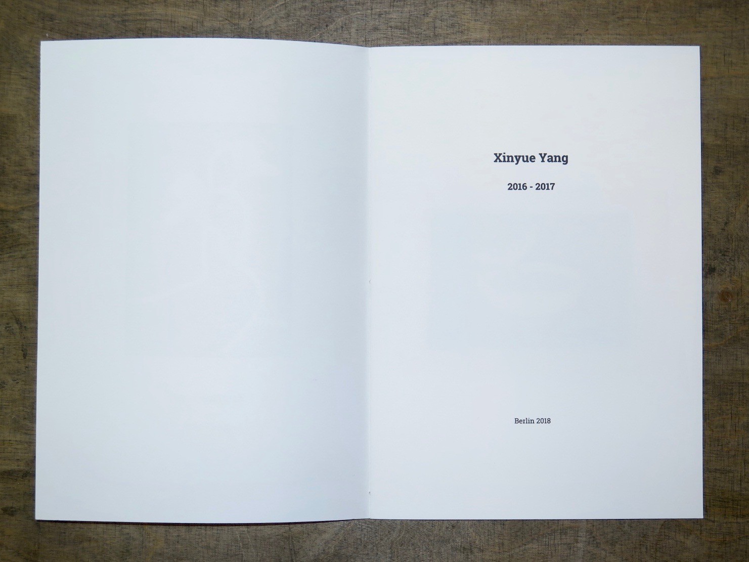 Xinyue Yang: 2016 – 2017