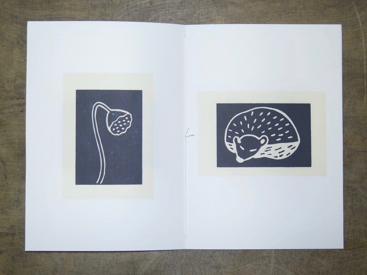 Xinyue Yang: 2016 – 2017