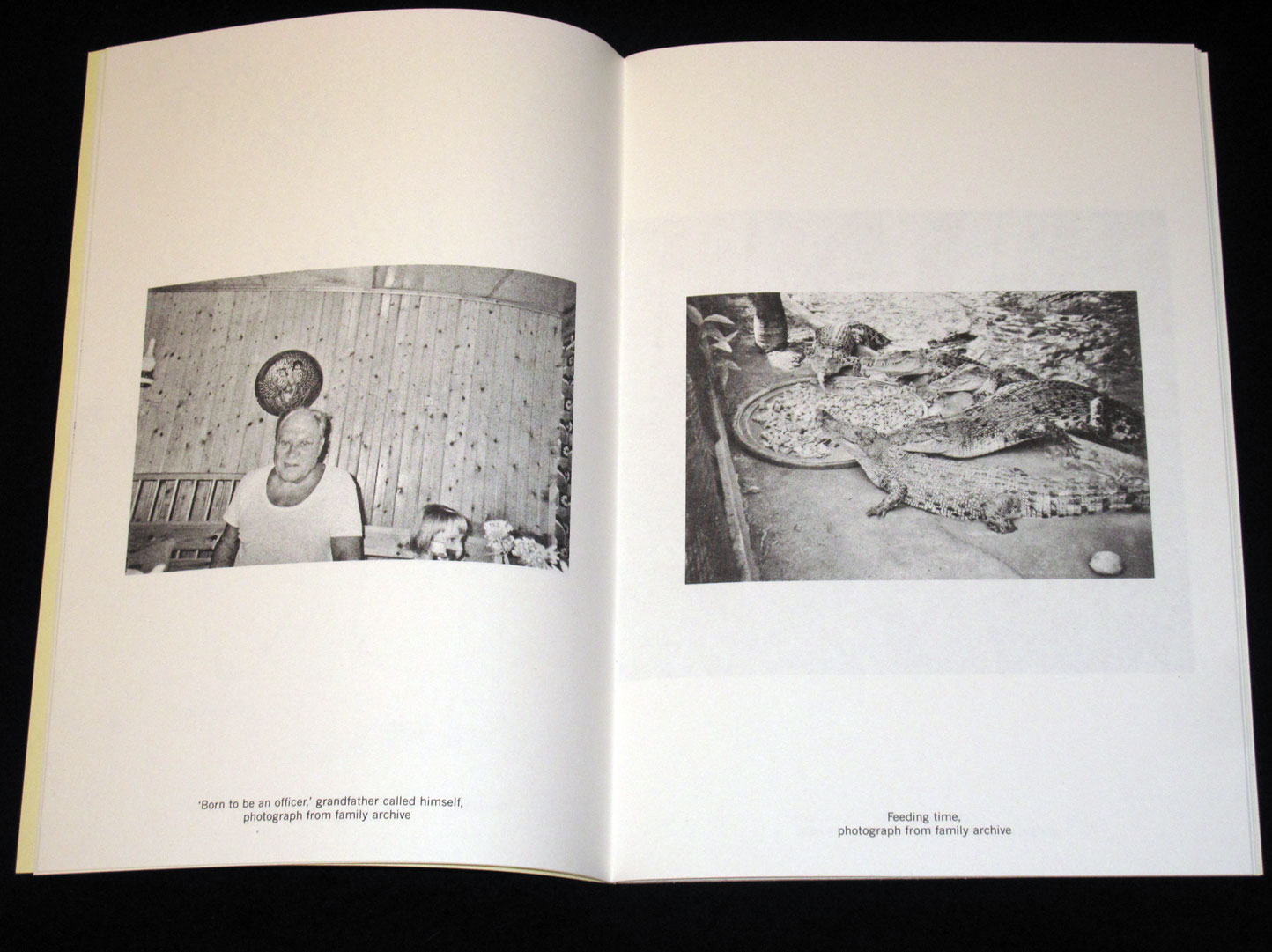 MOTTO DISTRIBUTION » Blog Archive » Perceiving Something Different ...